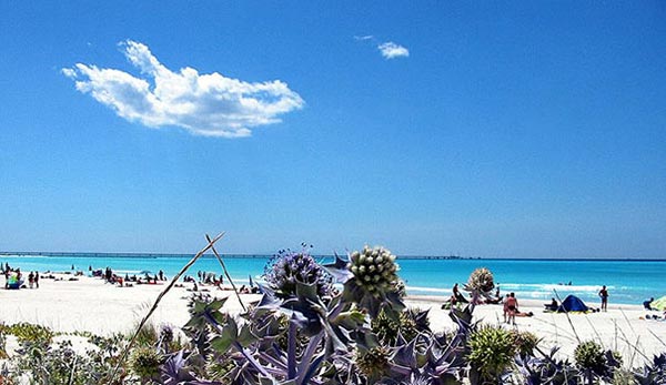 Karibikstrand in Vada, Toskana